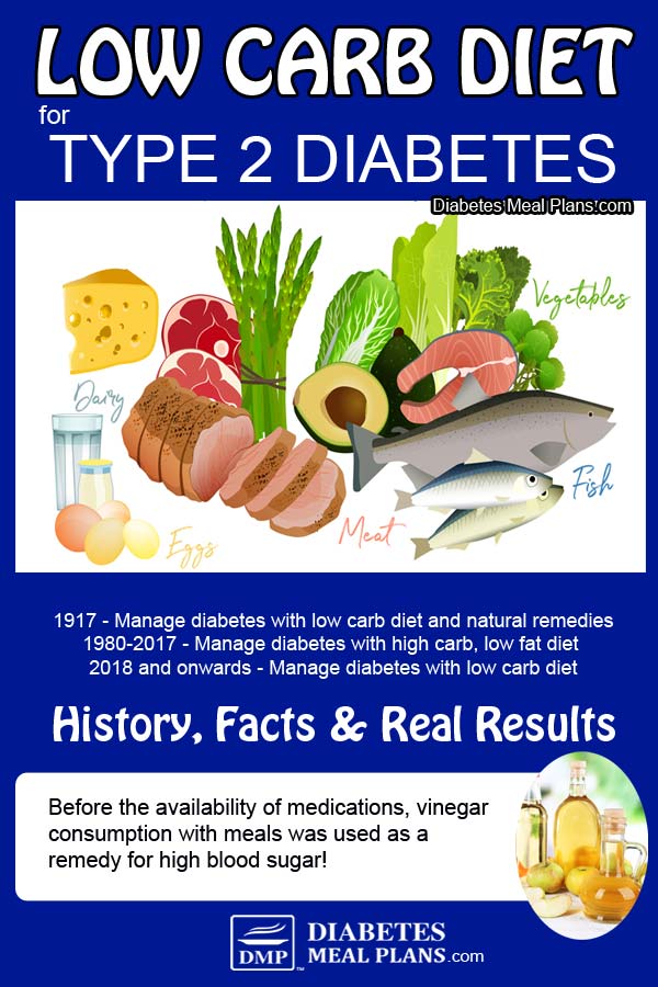 Low Carb Diet With Diabetes History Facts Real Results